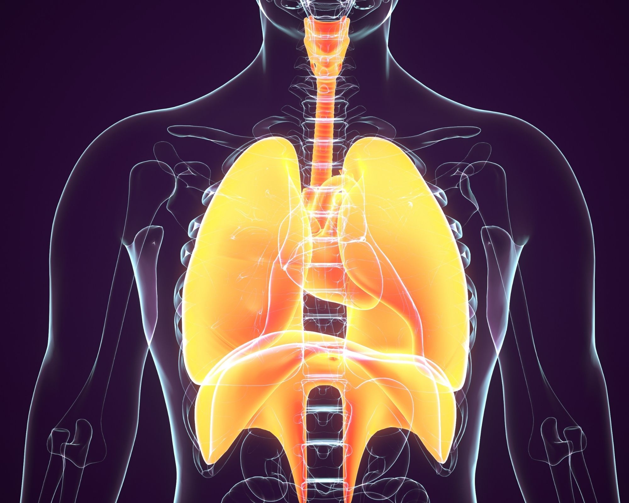 Akciğer Zarı (Plevra) Hastalıkları – Plevral Efüzyon - Akciğer Ameliyatı